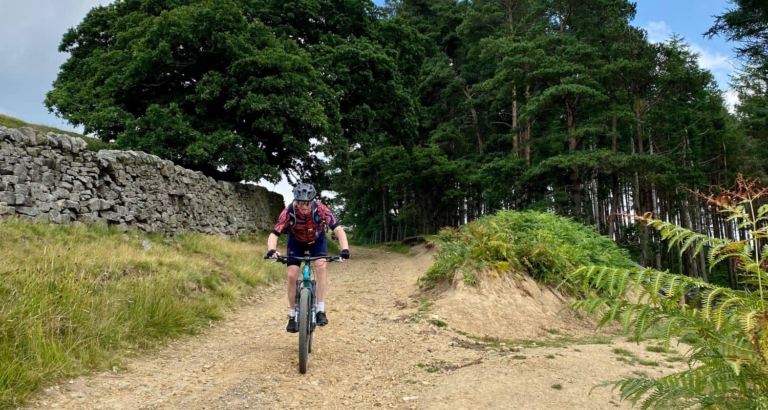 BIEHLER Signature Mens Bib Shorts – pedalnorth