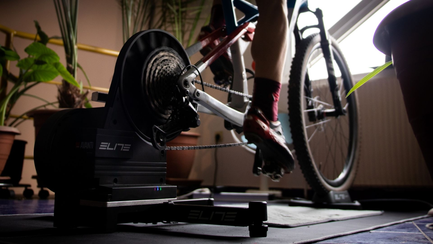 worlds best interactive indoor cycle trainers by Elite – pedalnorth